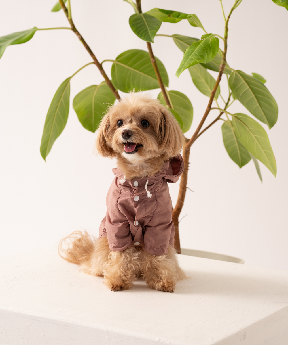 Botanical Color Jacket ボタニカルカラージャケット【巾着付き】（ワインピンク）|【無地 シンプルな犬服・ドッグウェア】COTIRA公式_サステナブル・日本製