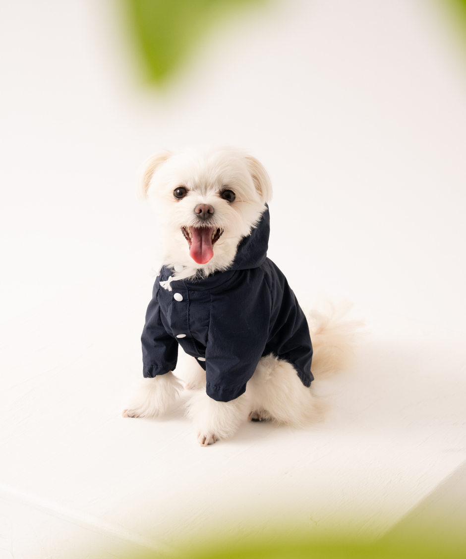 Tops（トップス）|【無地 シンプルな犬服・ドッグウェア】COTIRA公式_サステナブル・日本製