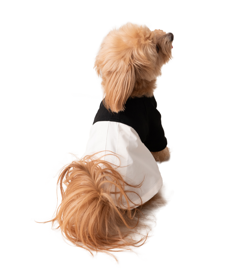 【無地 シンプルな犬服・ドッグウェア】COTIRA公式_サステナブル・日本製